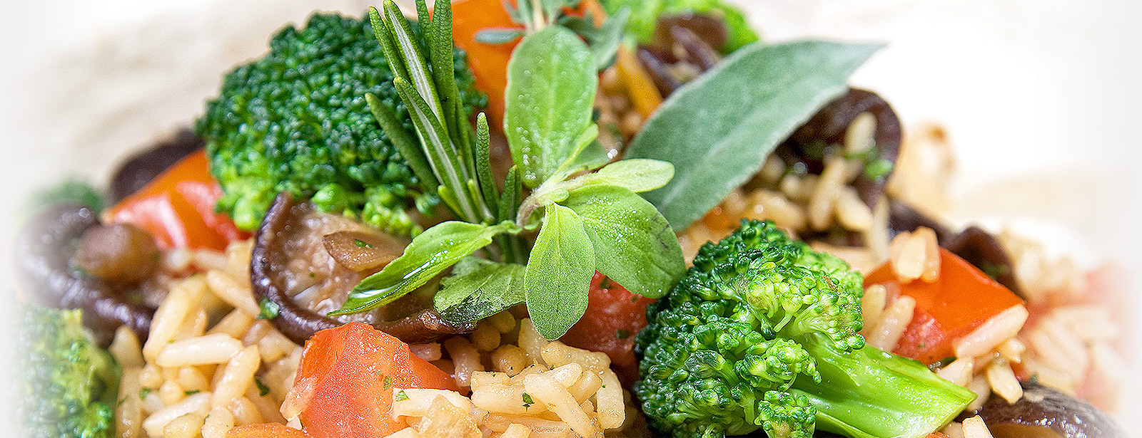 Home [yenerecipe.com]